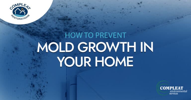 How to Prevent Mold Growth In Your Home (Quick Tips)